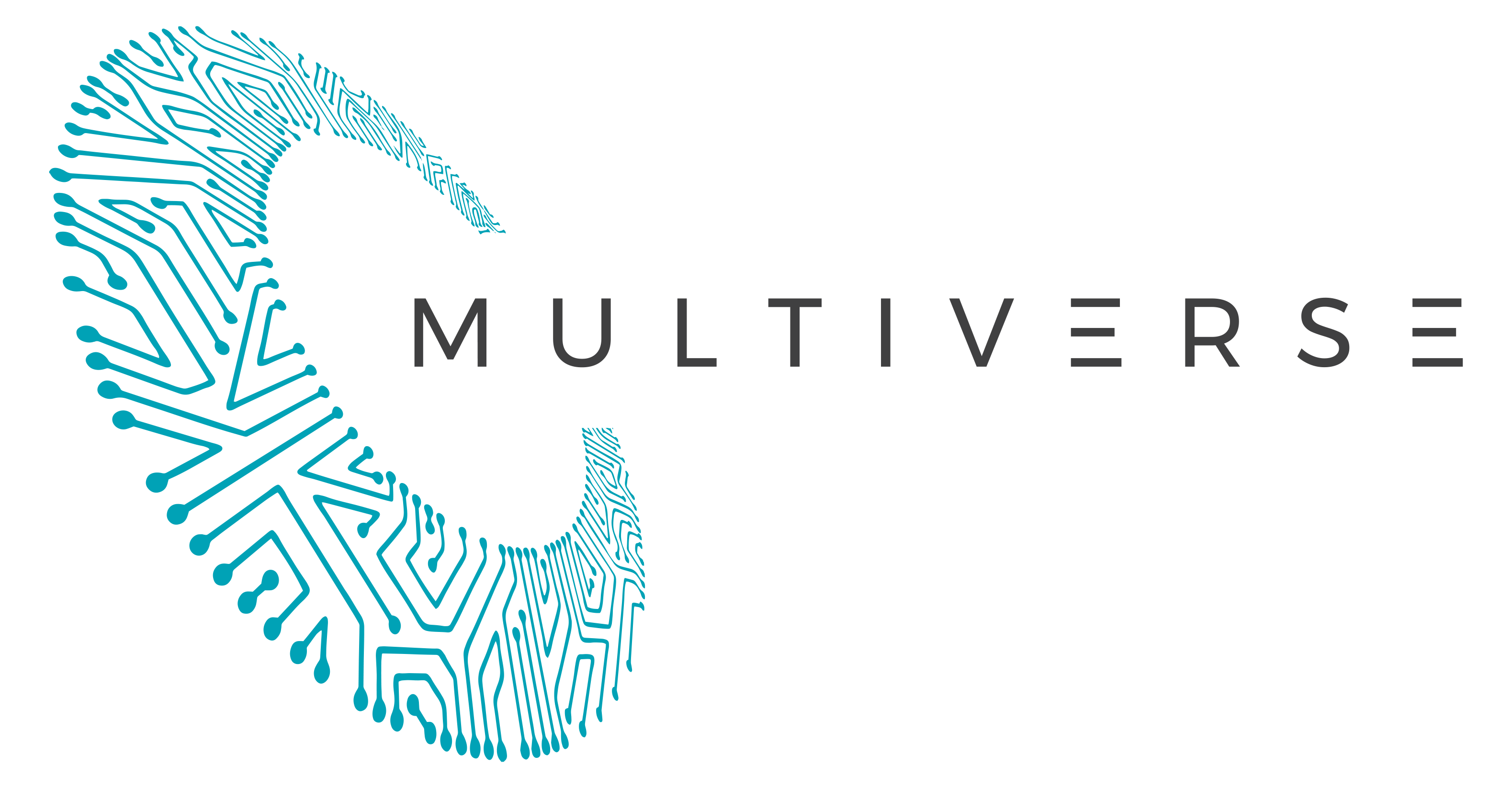 BLC Multiverse - Log-in